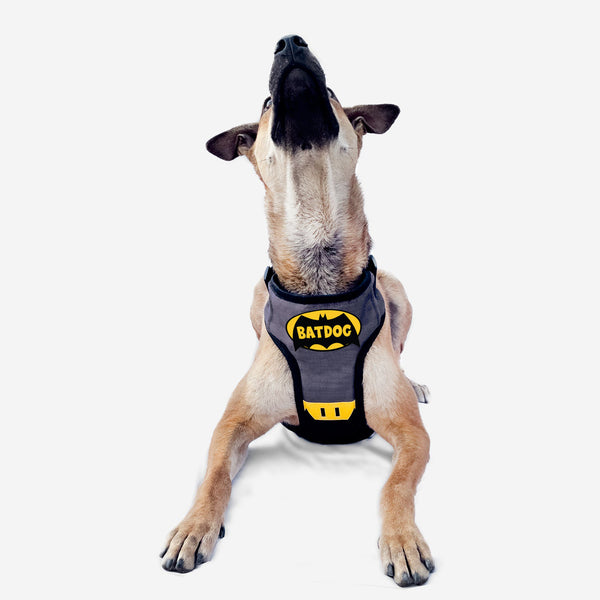 Buy TDIT X ©DC Batman Body Mesh Harness by That Dog In Tuxedo.