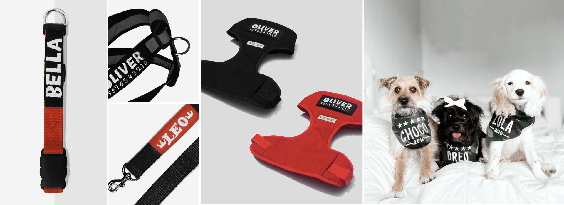 Dog Bow ties, Bandanas & Dog Collars - Shop Online for Dog Accessories ...