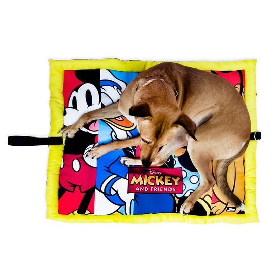 Mickey Mouse Collection - Buy Mickey Mouse Collection for your Dogs ...
