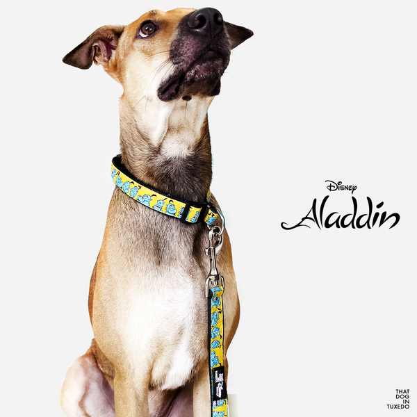 Genie Dog Leash – That Dog In Tuxedo