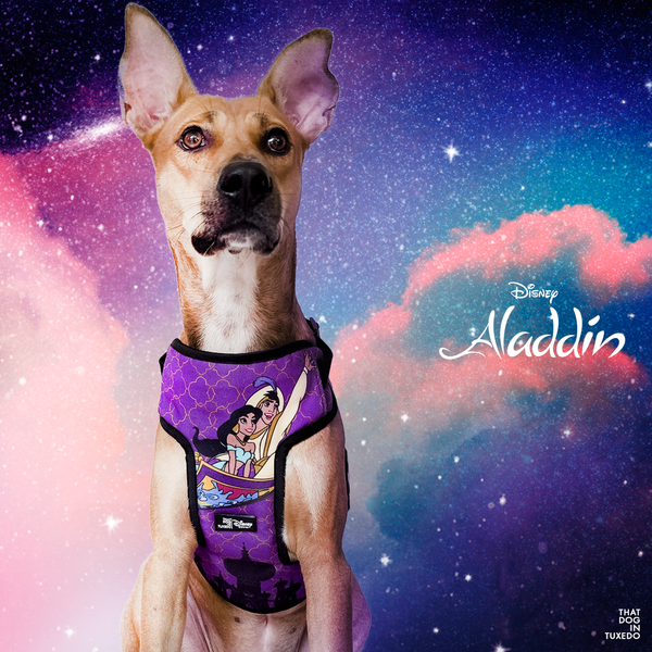 Adventures of Aladdin Dog Body Mesh Harness – That Dog In Tuxedo