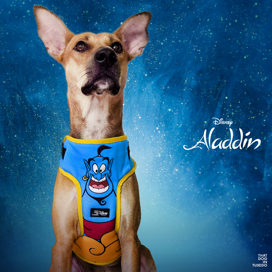 Aladdin Collection - Buy Aladdin Collection for your Dogs Online - That ...